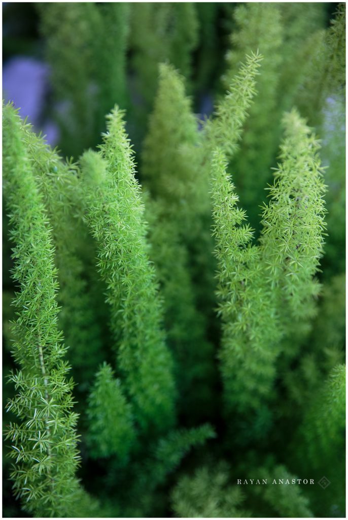 Harbor Lights Resort Wedding | Jordyn & Eddy - Rayan Anastor Photography