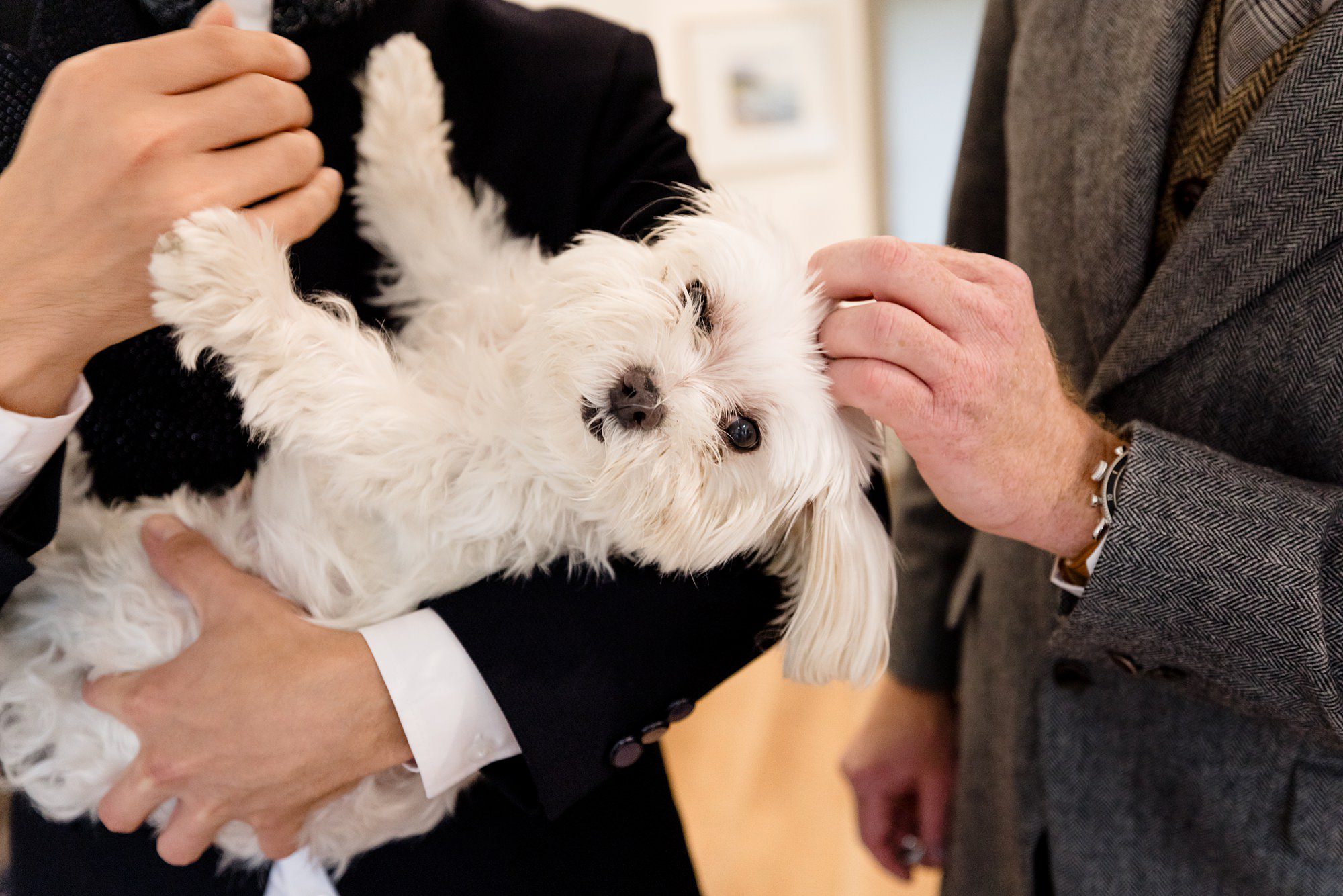 Glen Arbor Wedding at the Homestead Resort - Rayan Anastor Photography